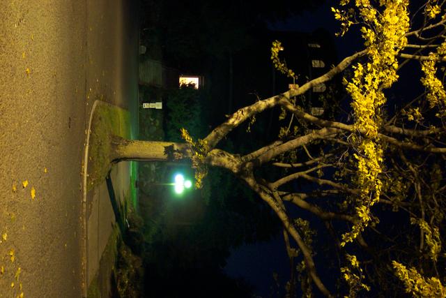 This G-Cipher update is taking place at the Seattle indymedia center.